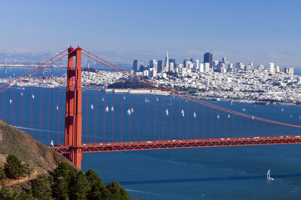 Top 10 Dog Friendly Cities For Your Relocation Travelers Haven top-10-dog-friendly-cities-for-your-relocation-travelers-haven